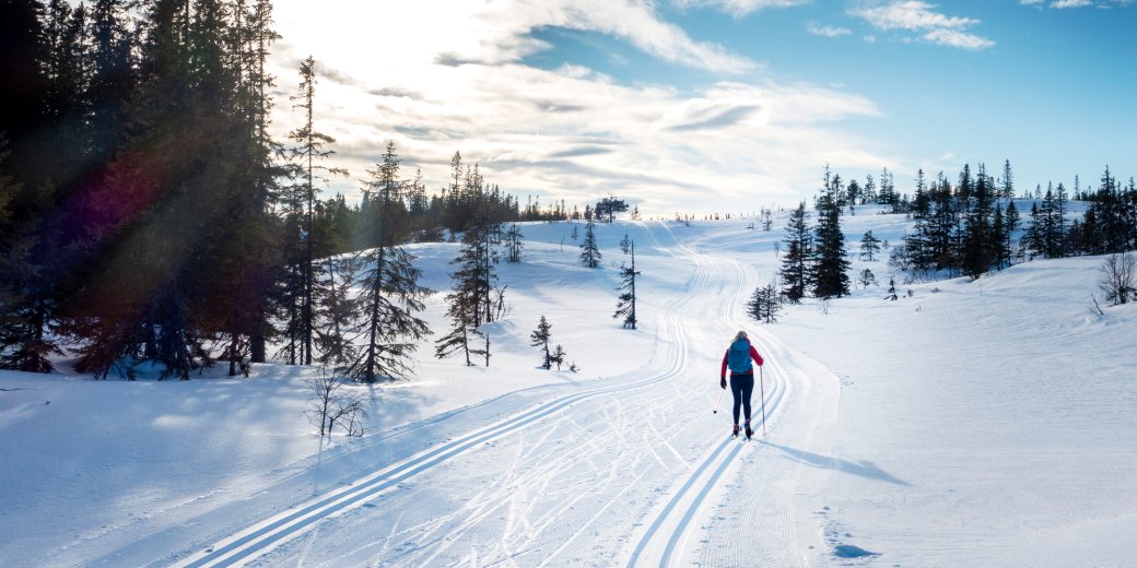 Grunnloven og fjellvett – det er ingen skam å snu - Rett24