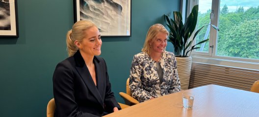 Steingrim Wolland forlater Rogstad med politianmeldelse, tilsynsvarsel ...